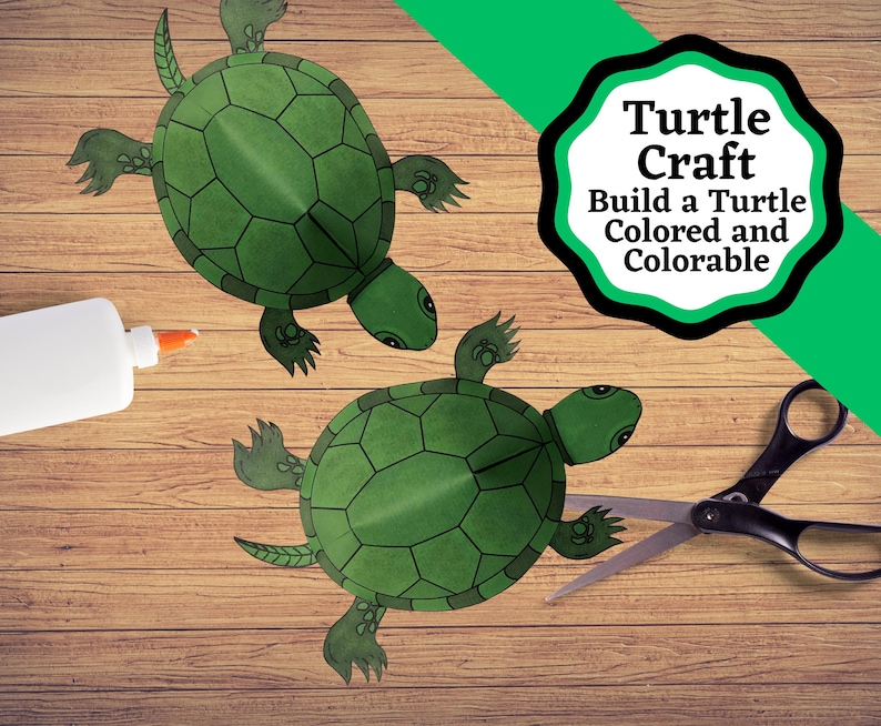 Printable Turtle Kids Craft. Kids Printable Craft Build or Make a ...