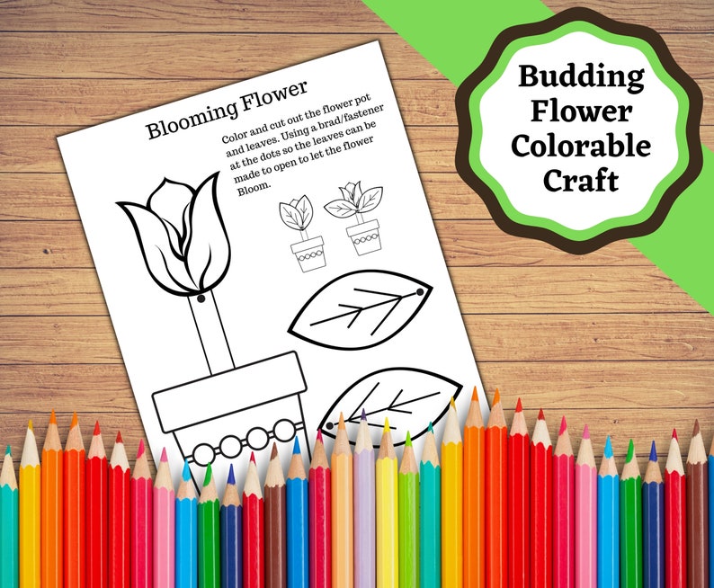 Printable Flower Craft, Cut and Past O Budding Flower With Movable ...