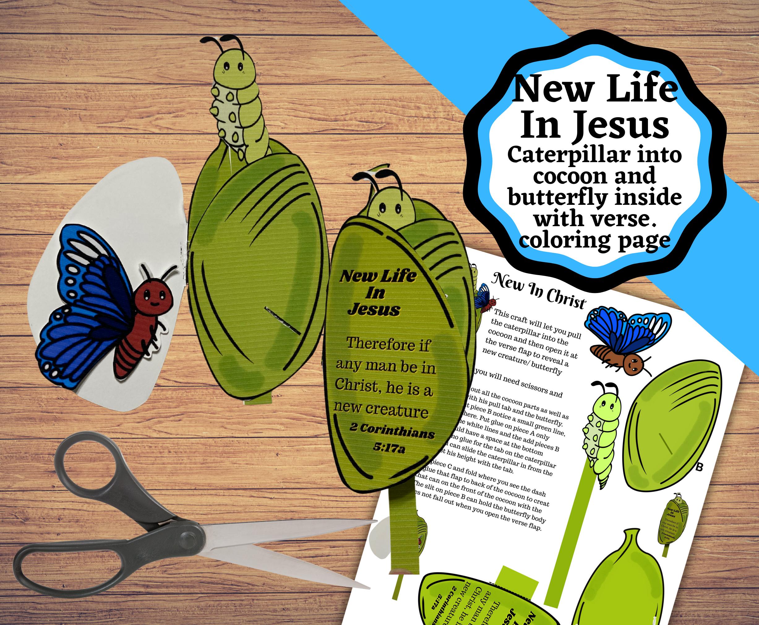 New Life in Jesus Christ Kids Craft With Caterpillar and Butterfly ...