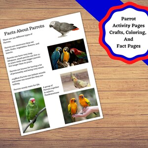 Printable Parrot Educational Crafts and Activity Pages. Parrot Decor ...