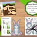 Printable Rabbit/bunny Learning Set. Build a Bunny, Crafts Coloring ...