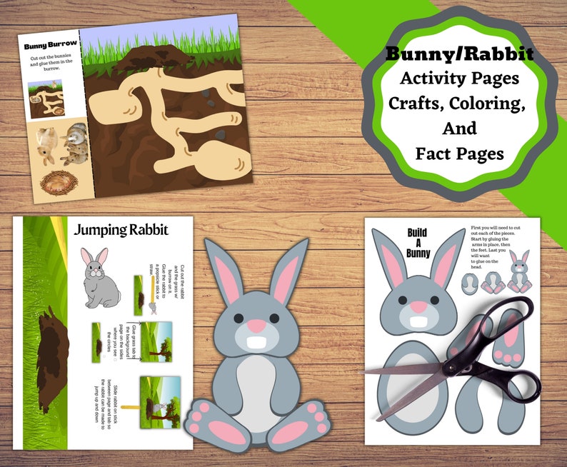 Printable Rabbit/bunny Learning Set. Build a Bunny, Crafts Coloring ...