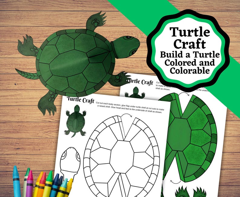 Printable Turtle Kids Craft. Kids Printable Craft Build or Make a ...
