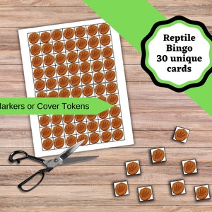 Printable Reptile Themed Bingo Cards, Printable Reptile Bingo Game ...