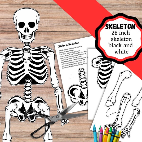 Paper Chain Skeleton - Etsy