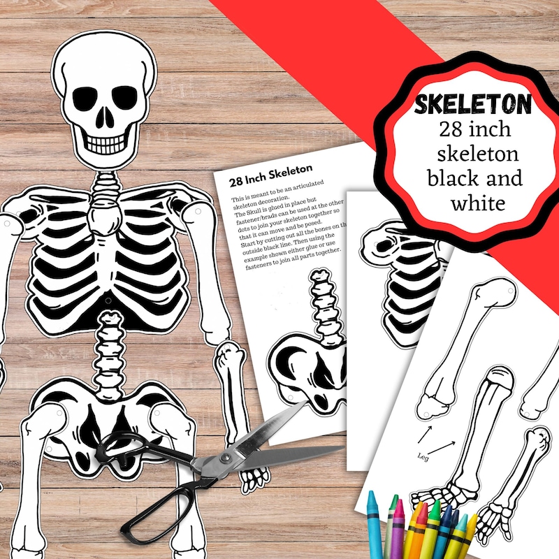 Paper Chain Skeleton - Etsy