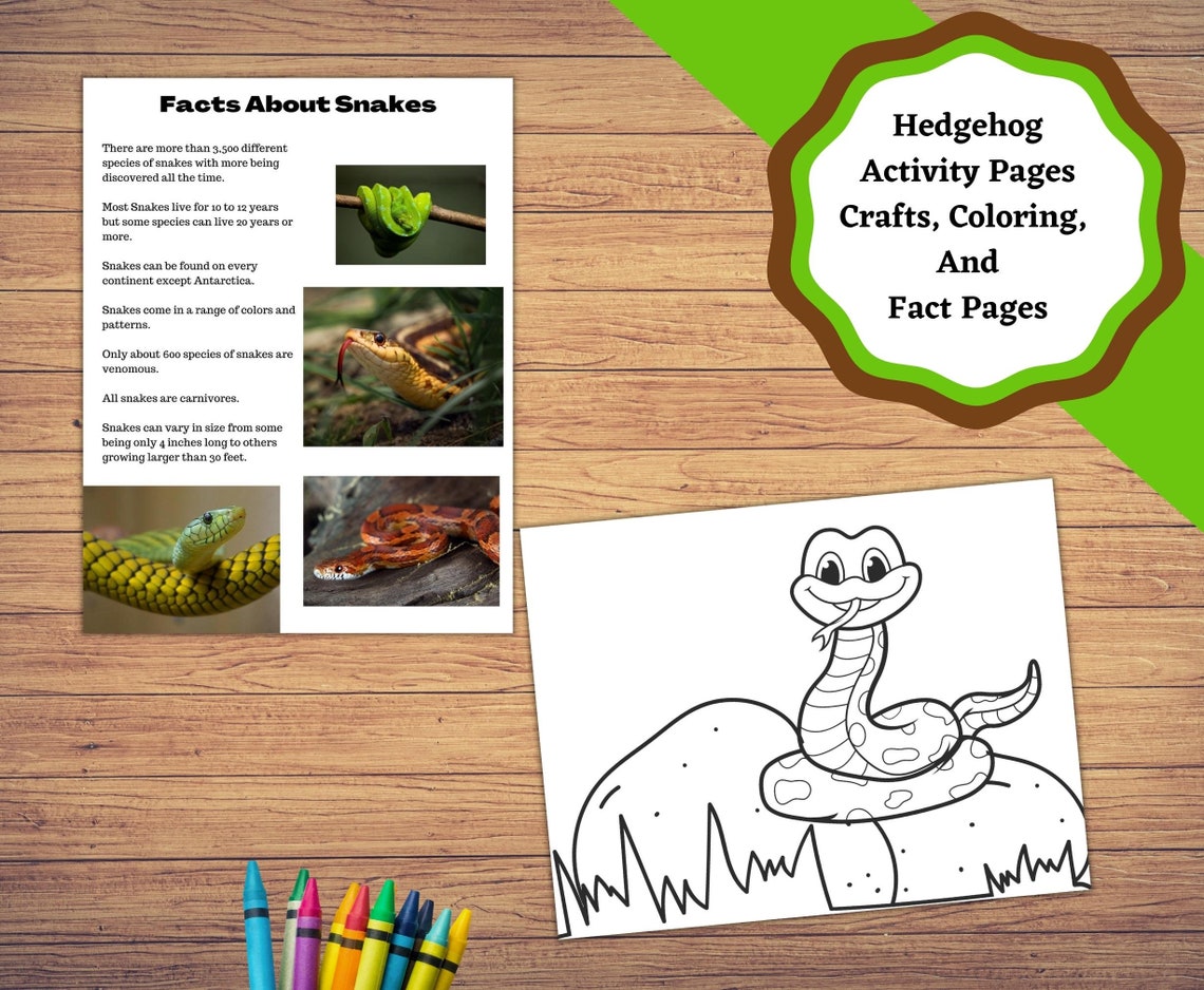 Snake Activity Sheets, Printable Snake Crafts, Snake Coloring Pages ...