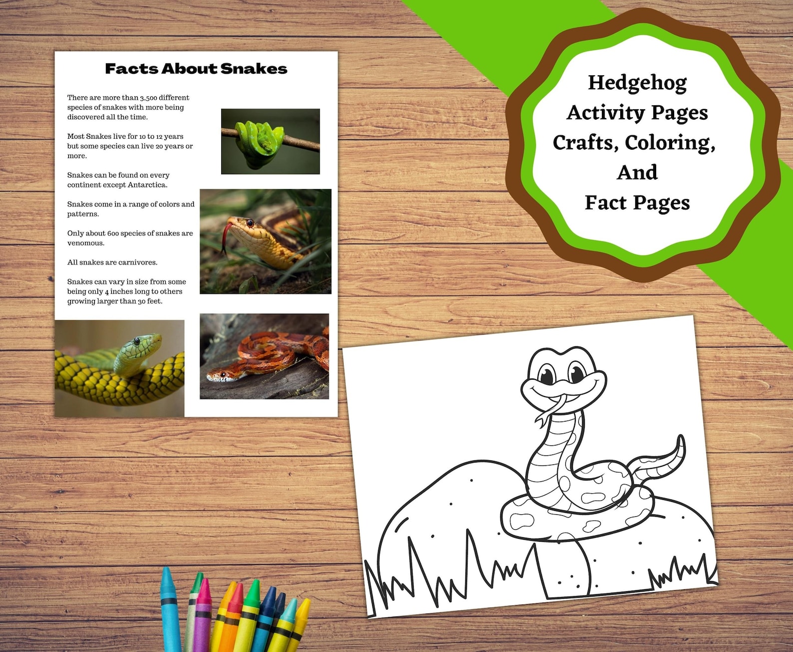 Snake Activity Sheets, Printable Snake Crafts, Snake Coloring Pages ...