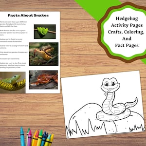Snake Activity Sheets, Printable Snake Crafts, Snake Coloring Pages ...