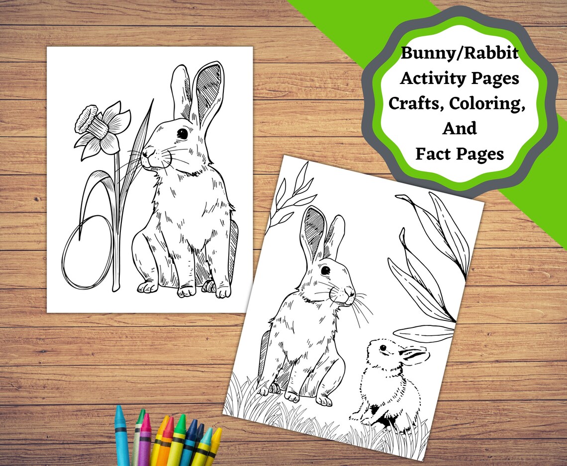 Printable Rabbit/bunny Learning Set. Build a Bunny, Crafts Coloring ...
