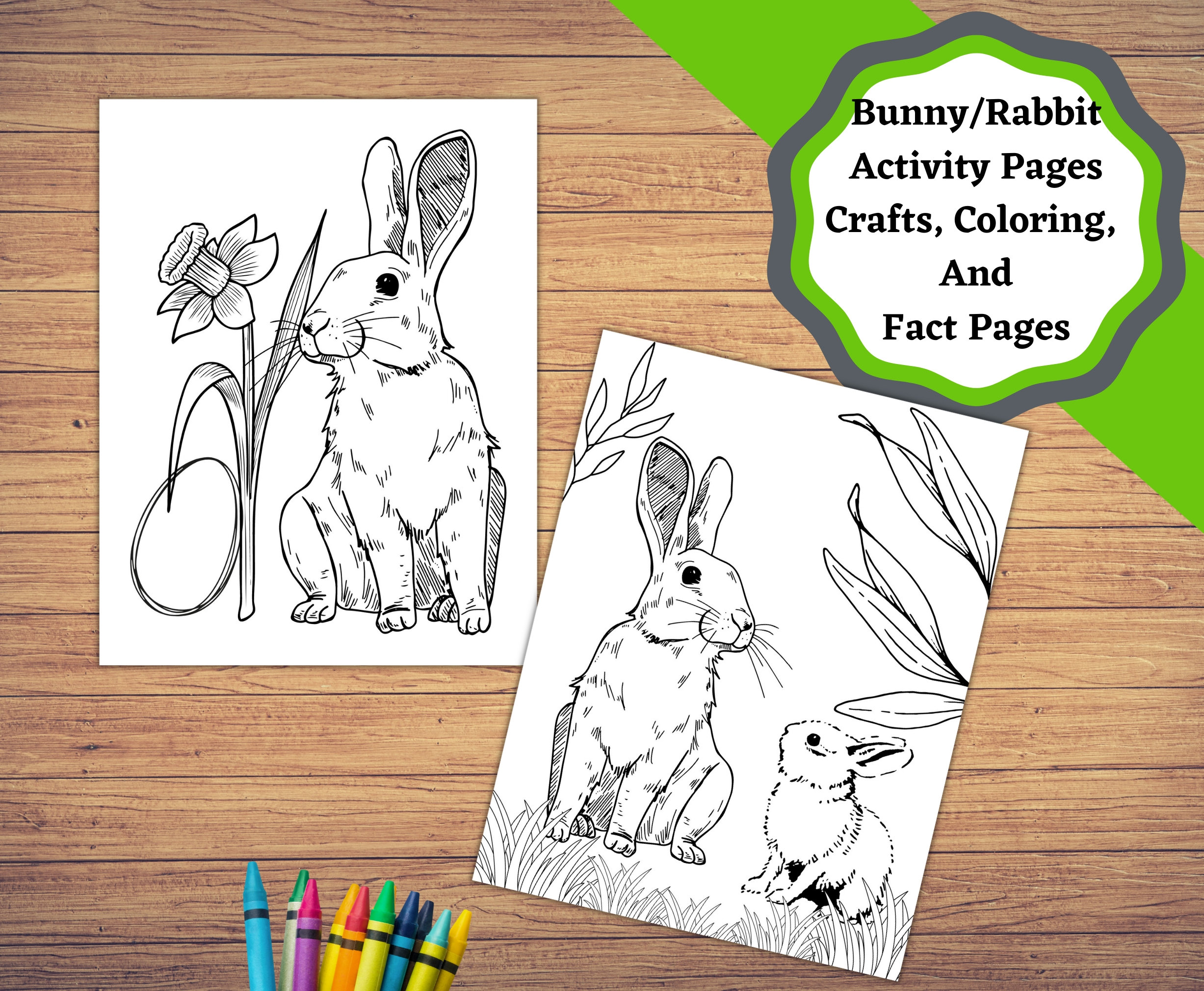 Printable Rabbit/bunny Learning Set. Build a Bunny, Crafts Coloring ...