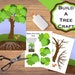 Printable Arbor Day Activity Pages, Coloring, Build a Tree, Learn About ...