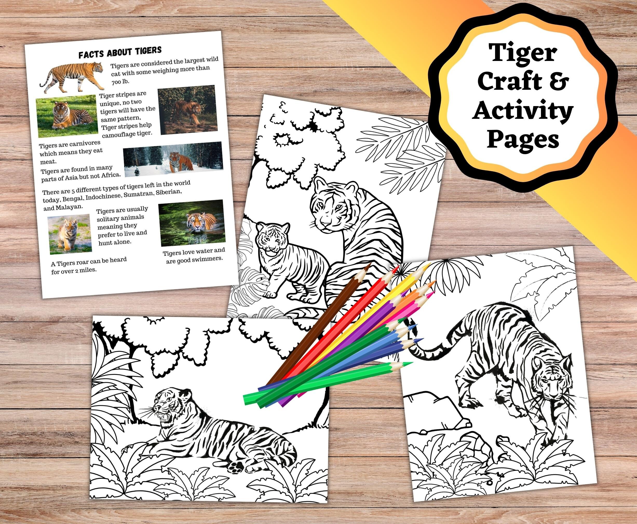 Printable Tiger Craft and Activity Set. Build a Tiger, Tiger in Jungle ...