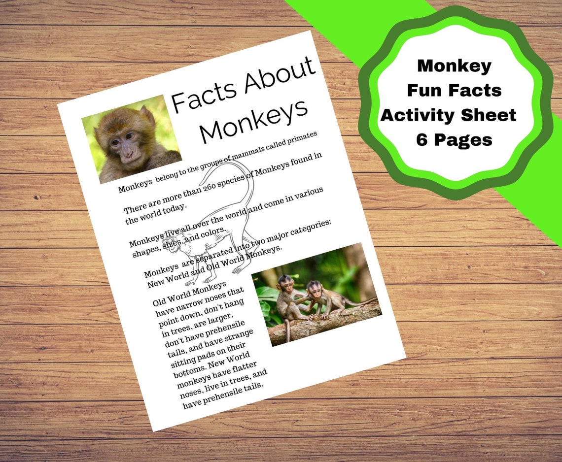 Printable Monkey Cut and Paste, Crafts, Coloring, and Educational Pages ...