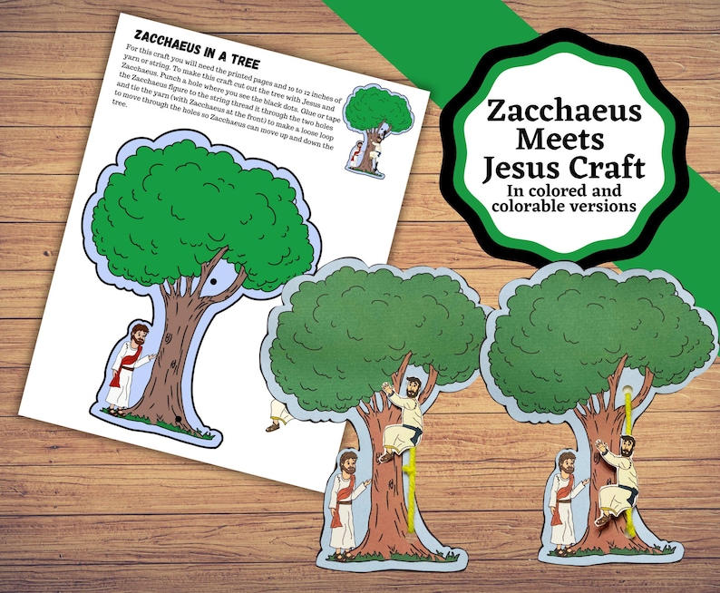 Zacchaeus Meets Jesus, Zacchaeus Climbing up and Down a Tree Kids Bible ...