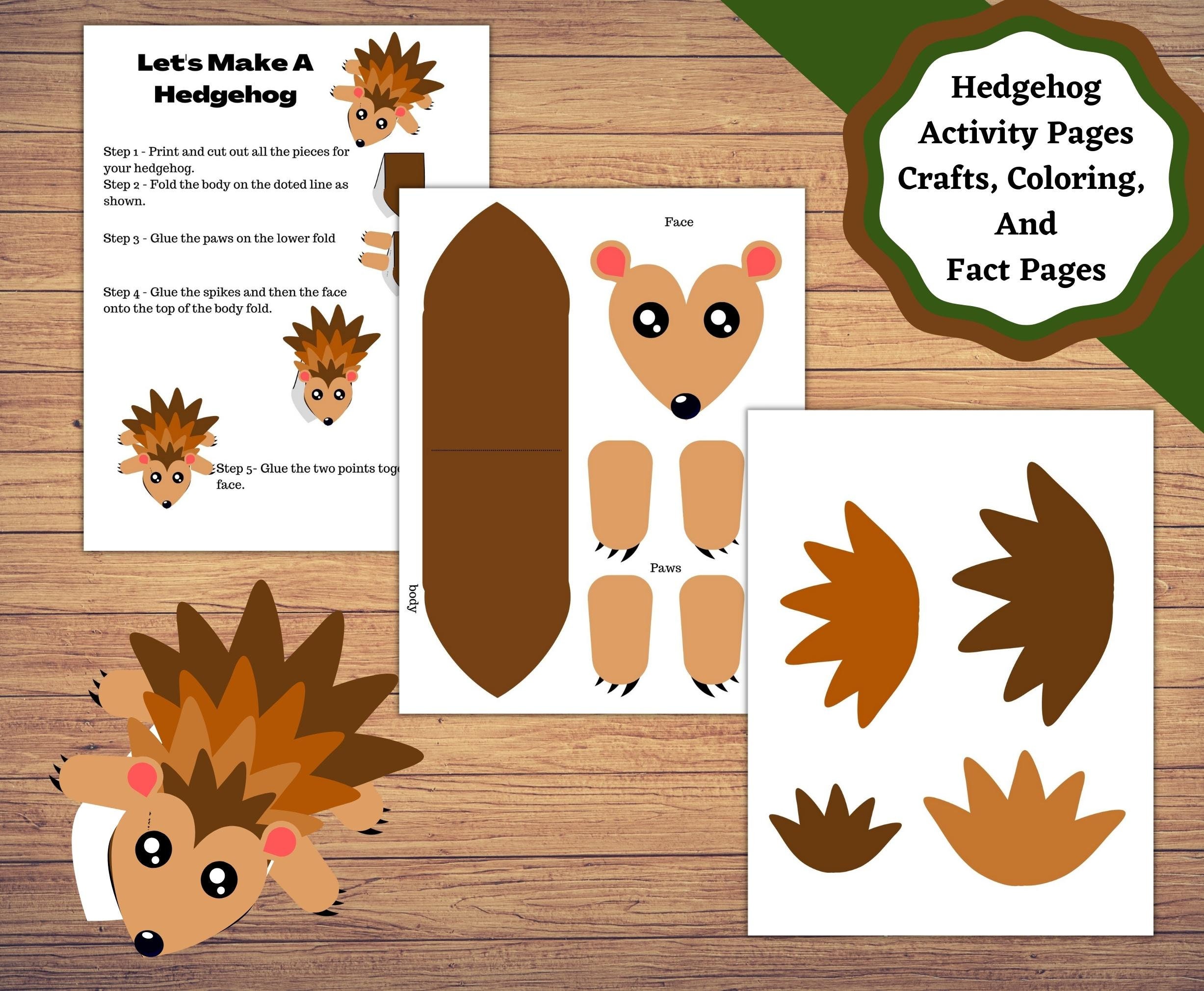 Hedgehog Activity Pages, Printable Craft and Educational Pages for ...