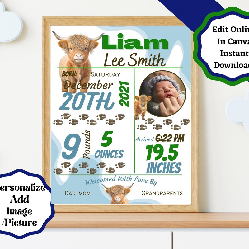 Birth Stat Cow - Etsy