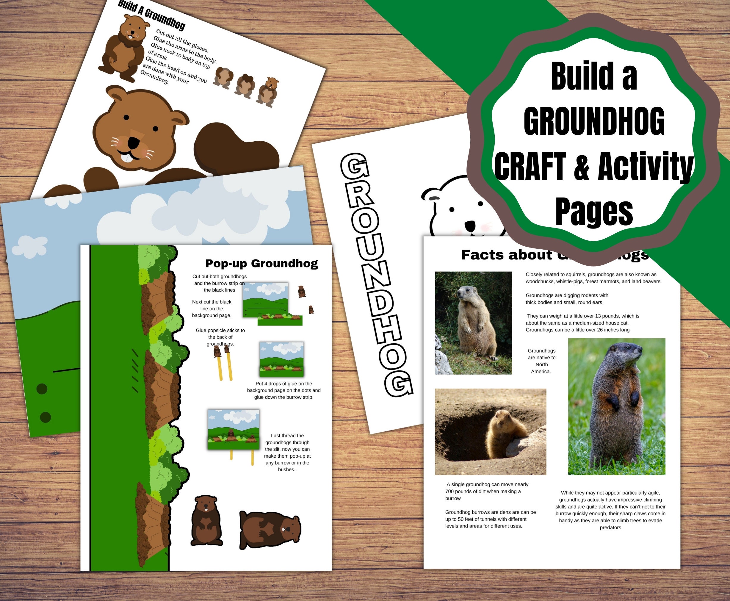 Printable Groundhog Craft and Activity Pack. Pop-up Groundhog Craft ...