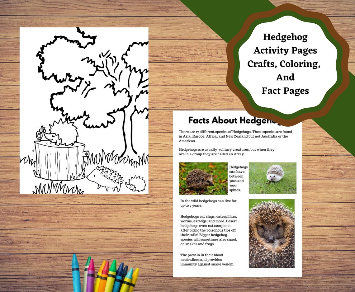 Hedgehog Activity Pages, Printable Craft and Educational Pages for ...