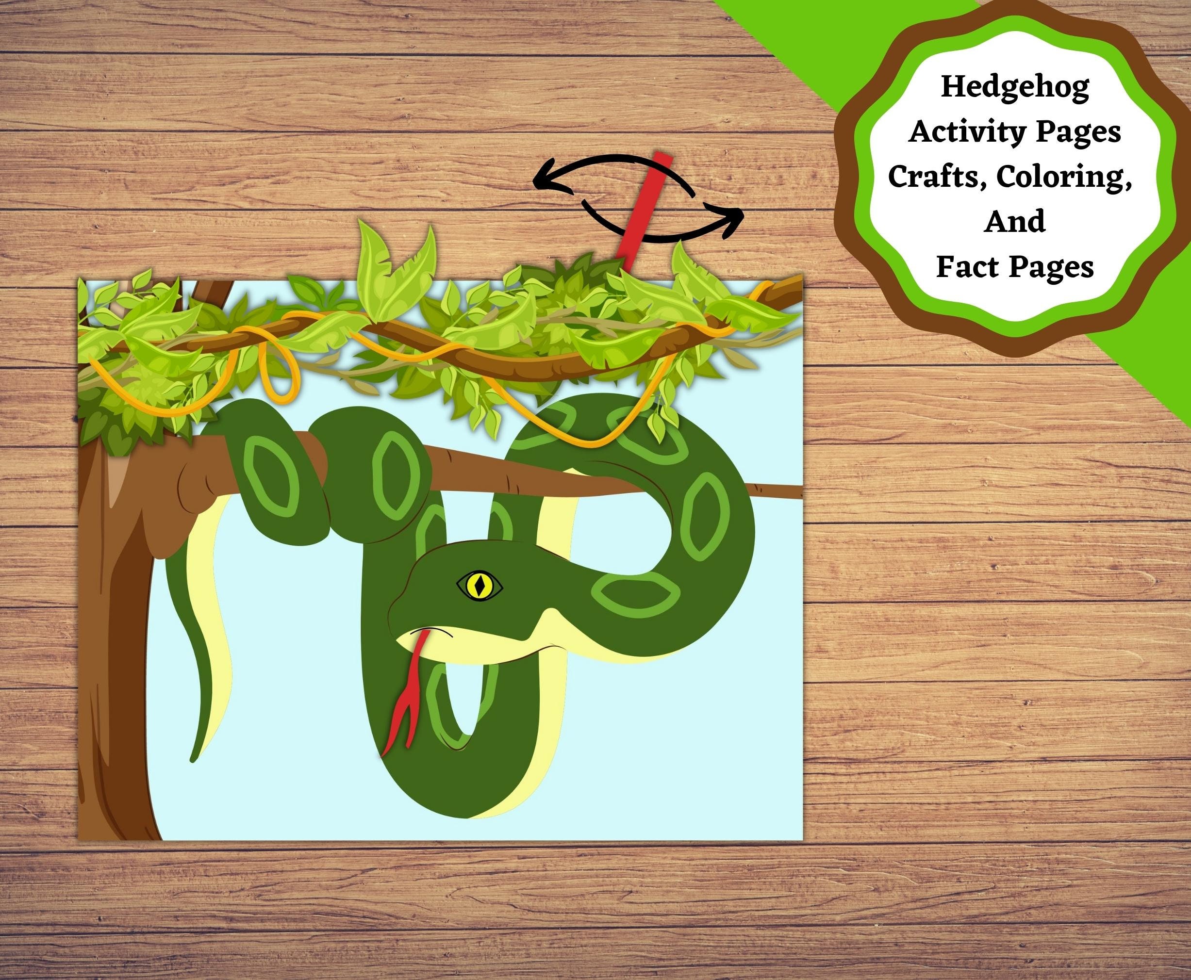 Snake Activity Sheets, Printable Snake Crafts, Snake Coloring Pages ...