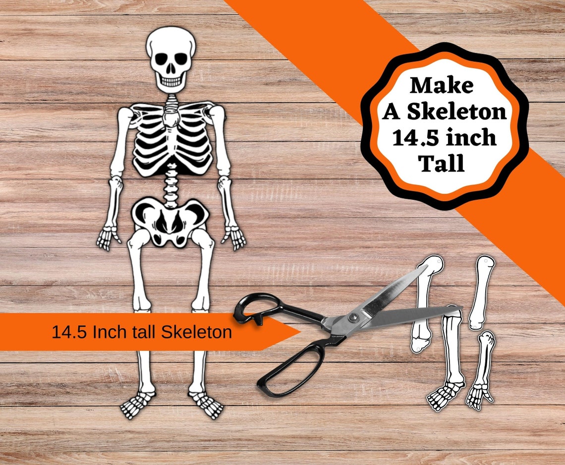 Printable Skeleton Craft. 14.5 Inch Skeleton Cut and Glue Craft. Easy ...