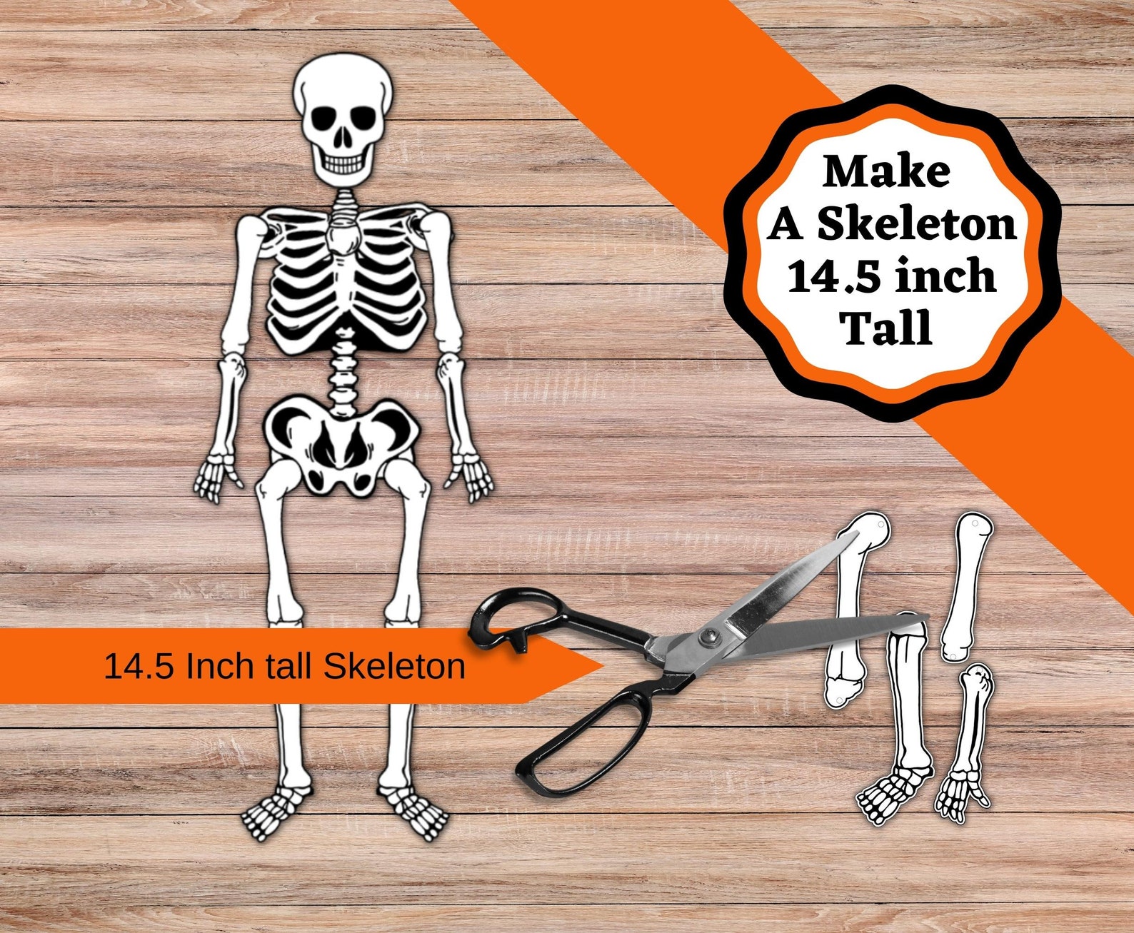 Printable Skeleton Craft. 14.5 Inch Skeleton Cut and Glue Craft. Easy ...