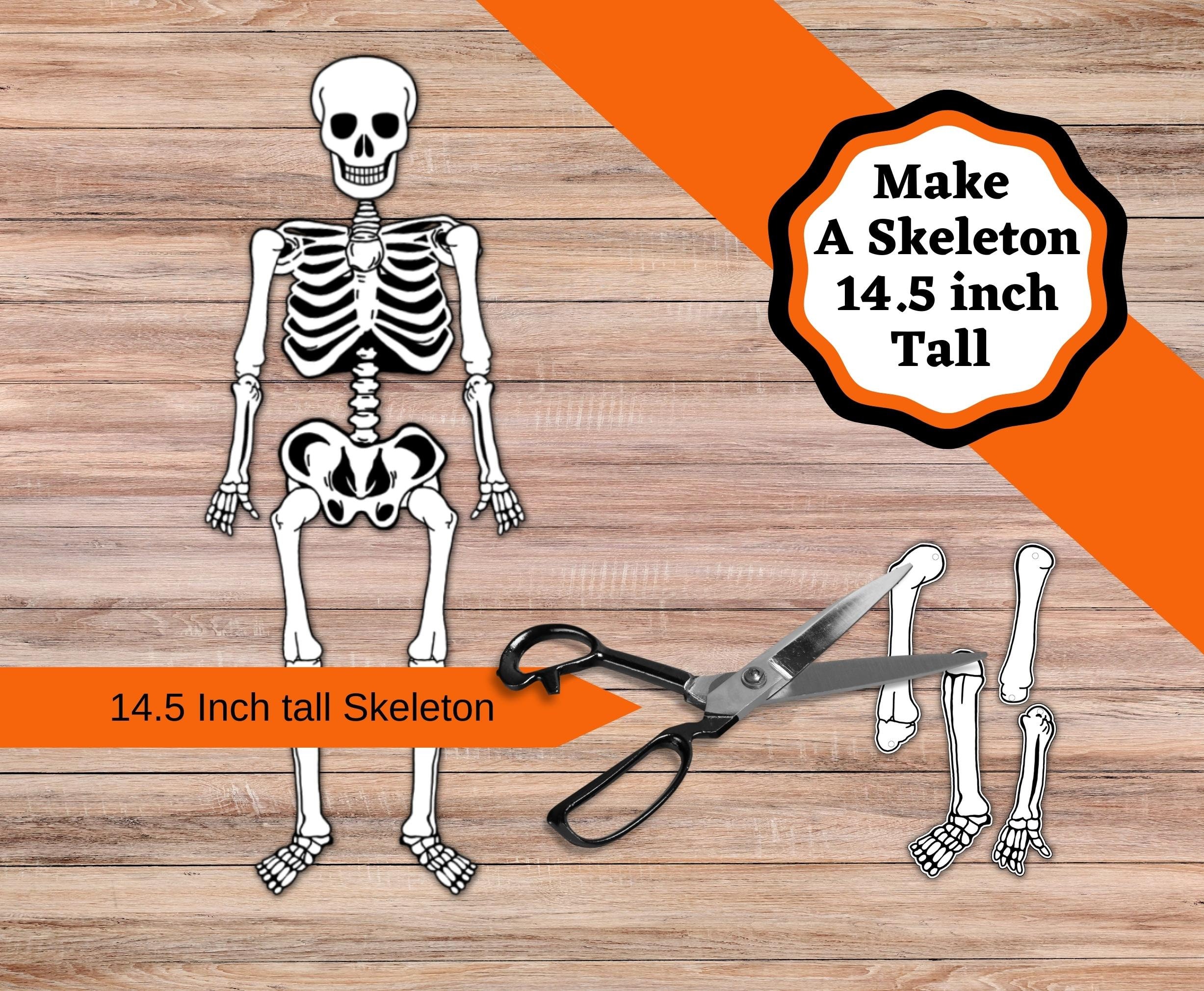 Printable Skeleton Craft. 14.5 Inch Skeleton Cut and Glue Craft. Easy ...