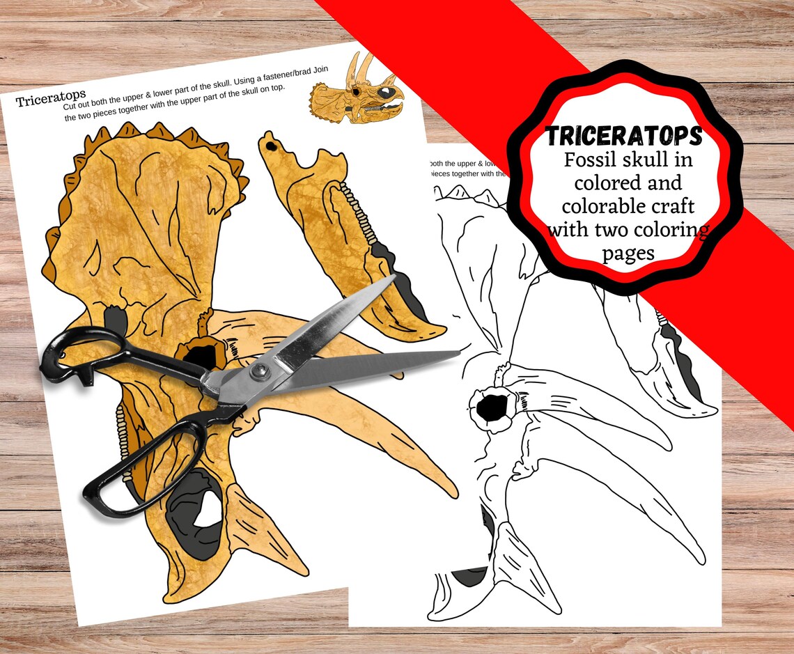 Printable Triceratops Skull With Moving Jaw. Triceratops Coloring Pages ...