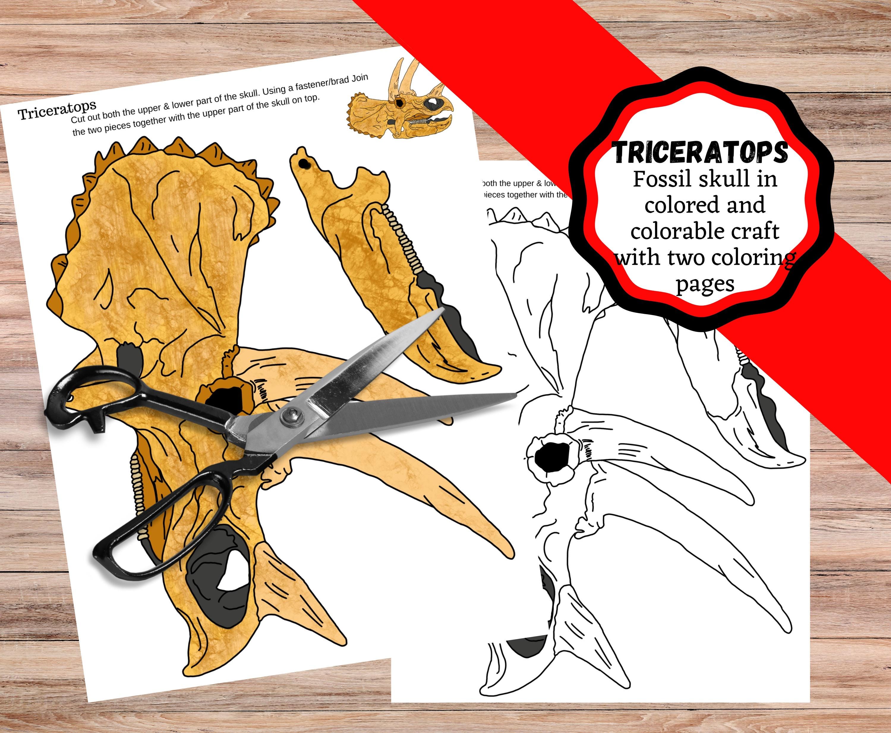Printable Triceratops Skull With Moving Jaw. Triceratops Coloring Pages ...