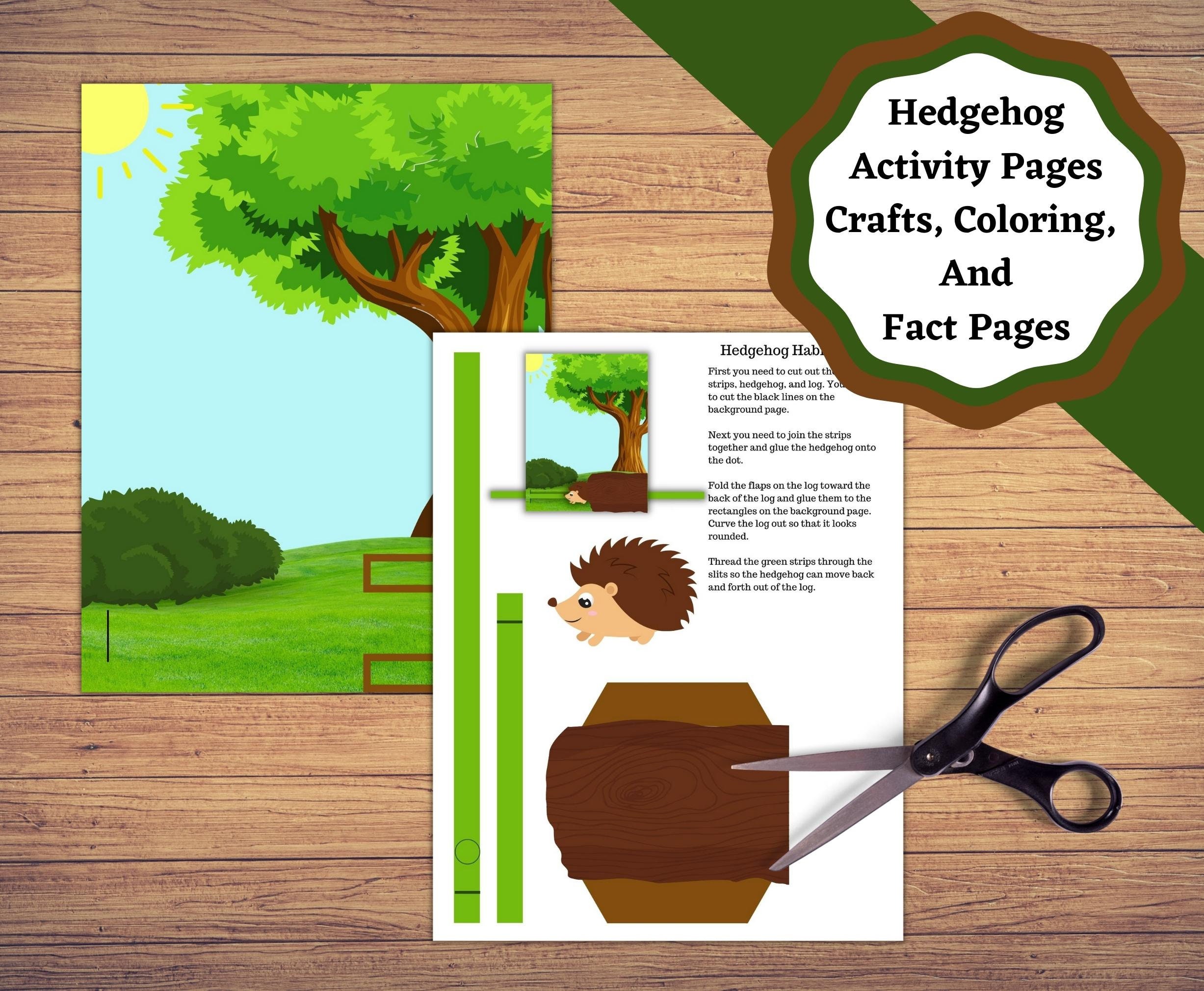 Hedgehog Activity Pages, Printable Craft and Educational Pages for ...