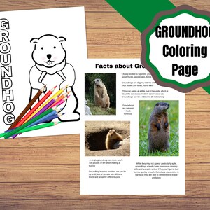 Printable Groundhog Craft and Activity Pack. Pop-up Groundhog Craft ...