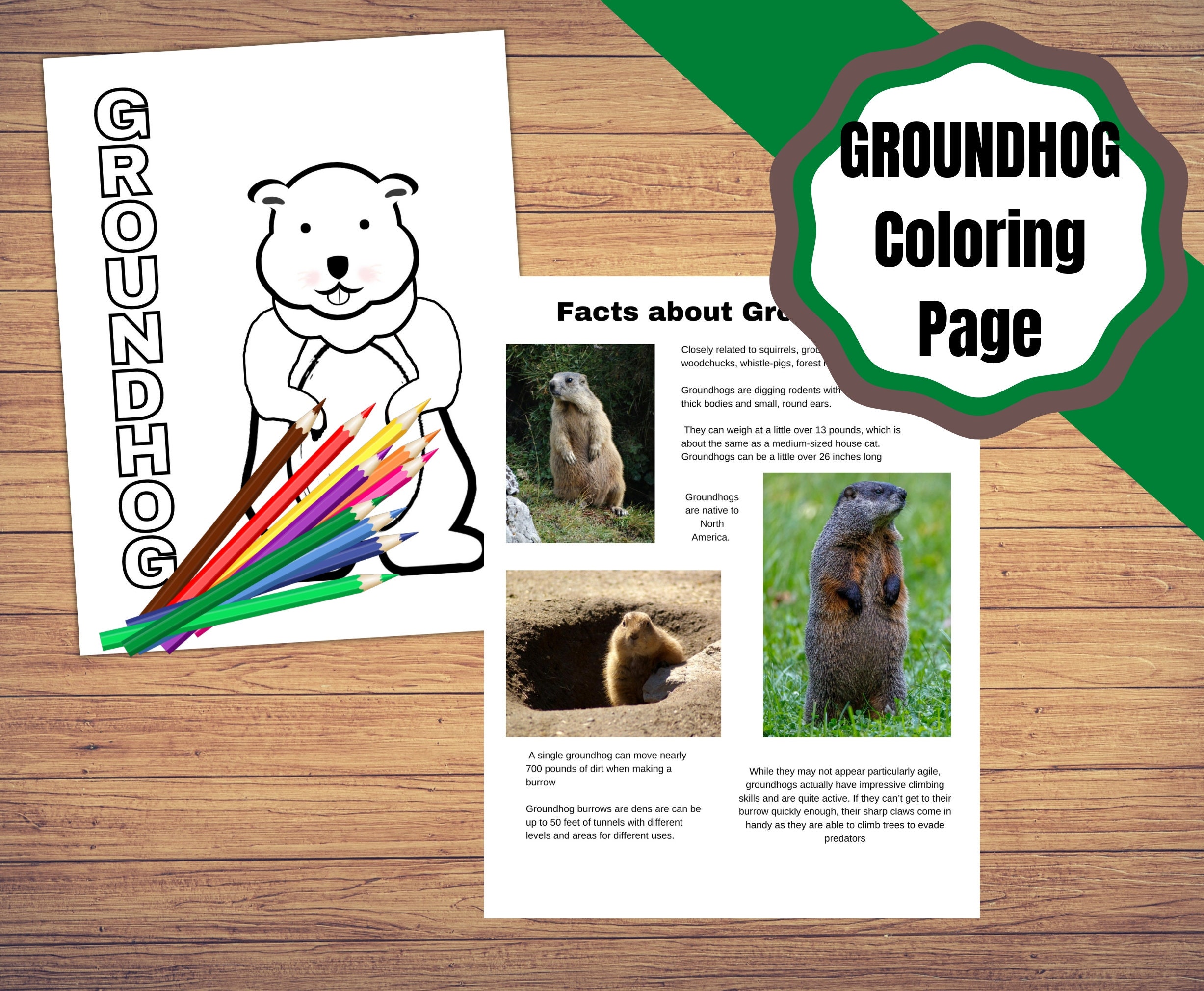 Printable Groundhog Craft and Activity Pack. Pop-up Groundhog Craft ...