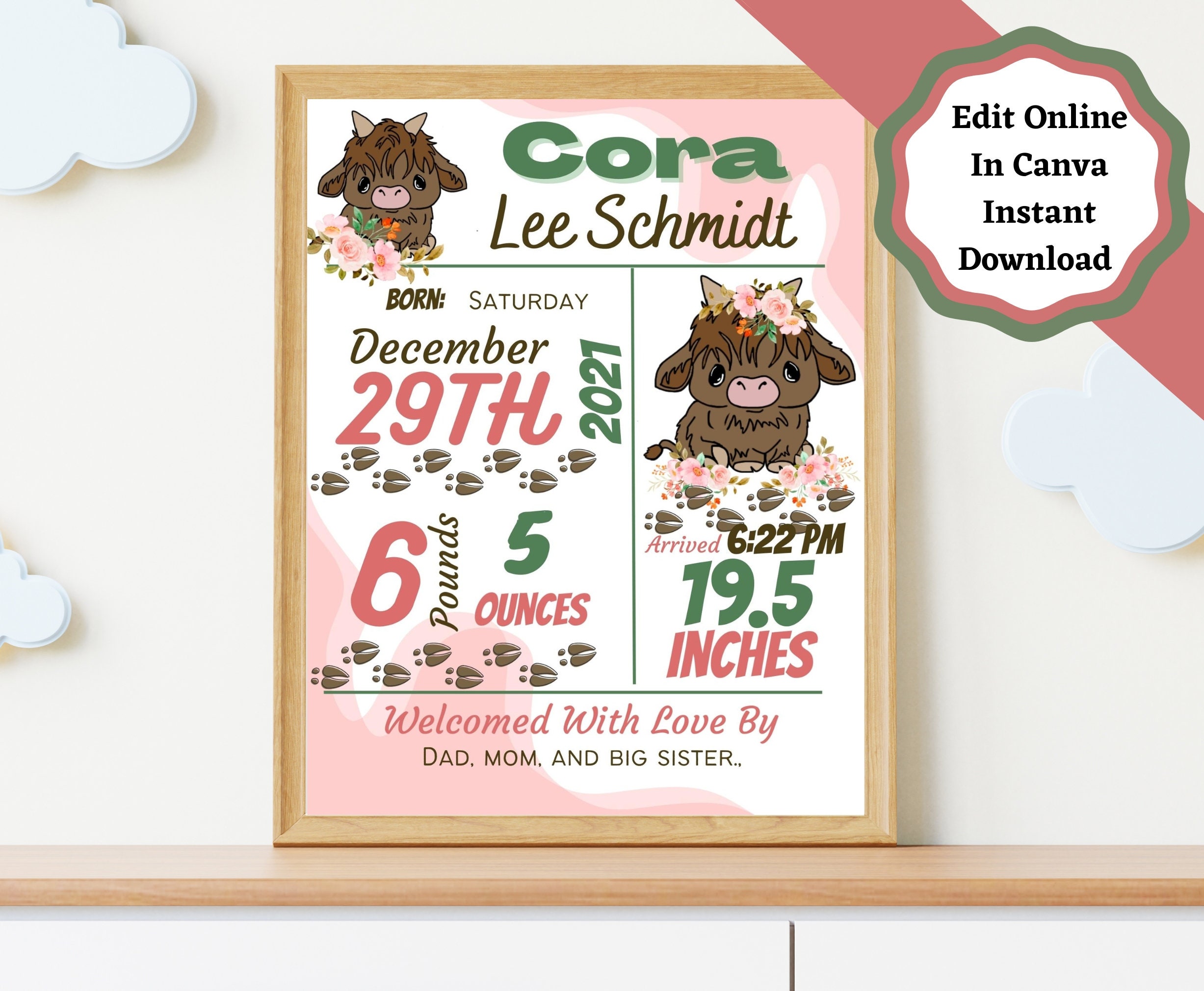 Birth Stats, Birth Announcement, Digital Editable Download With Pink ...