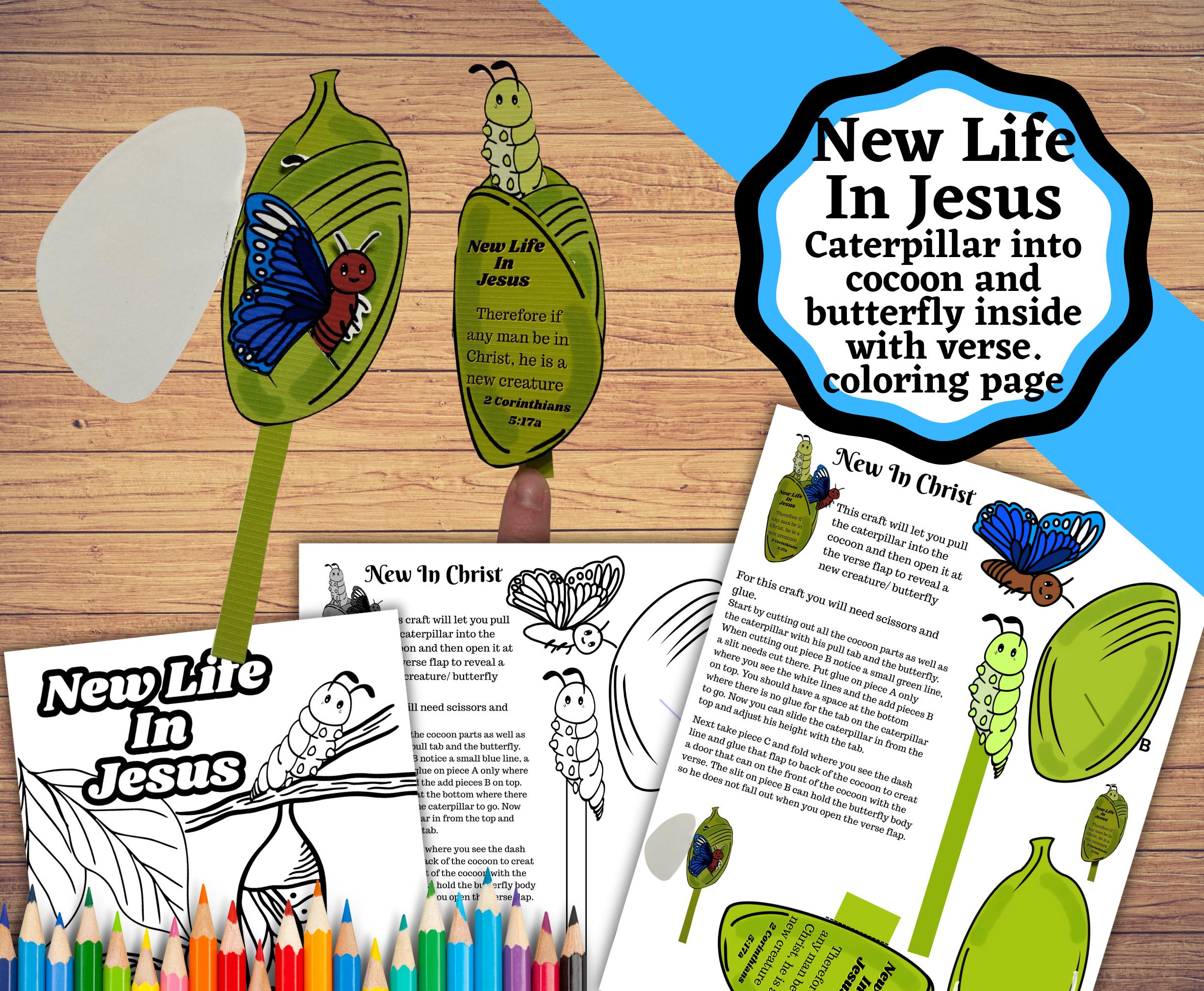 New Life in Jesus Christ Kids Craft With Caterpillar and Butterfly ...