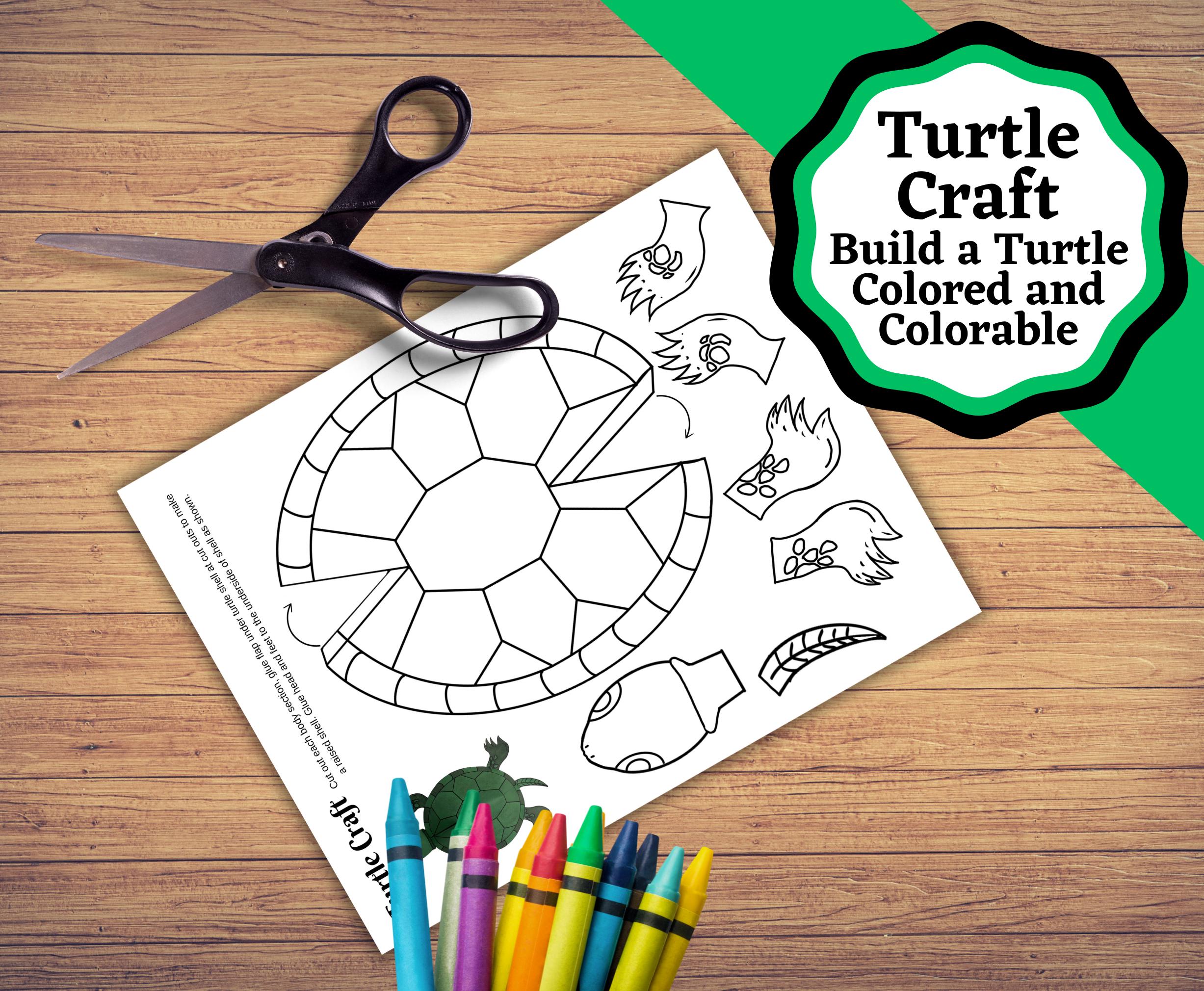 Printable Turtle Kids Craft. Kids Printable Craft Build or Make a ...