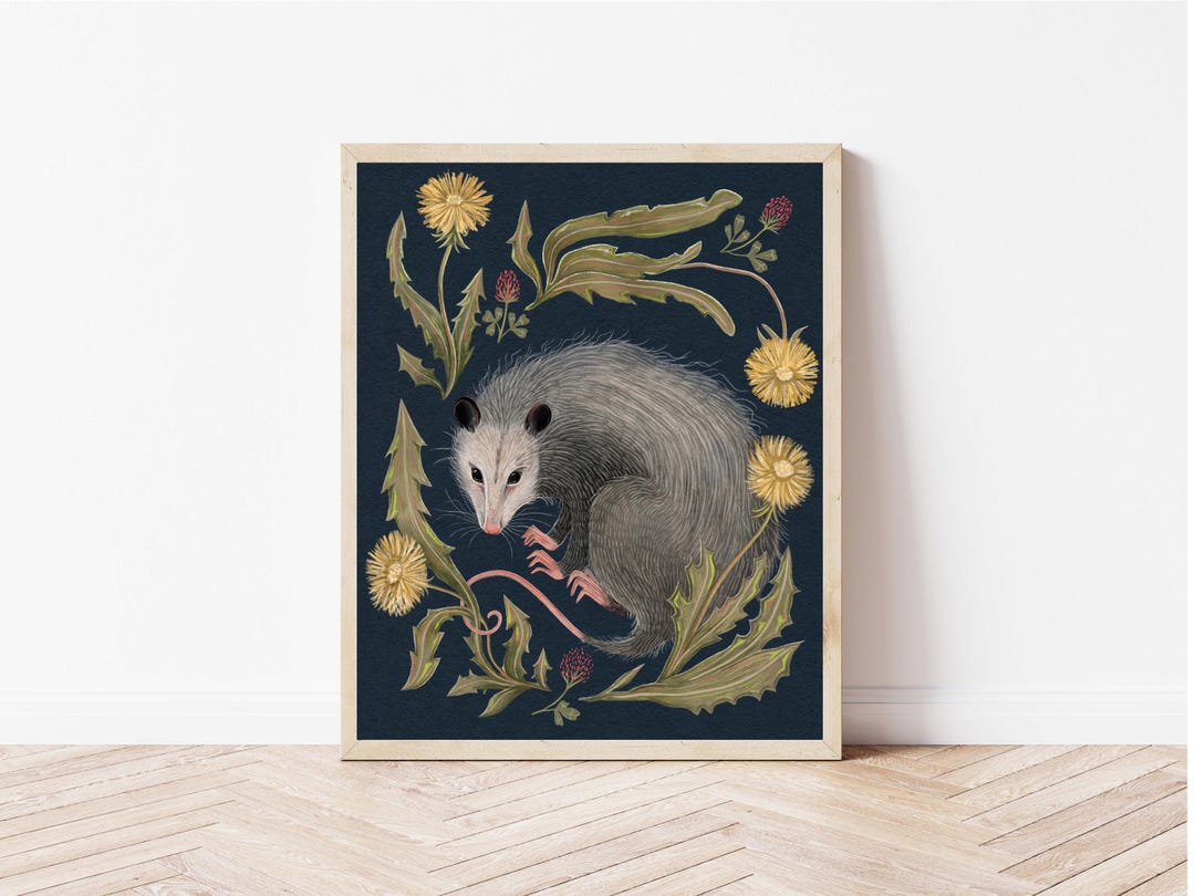 Opossum, Dandelions, and Clover Nature Print Illustration - Botanical ...