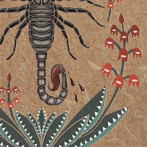 Folk Art Scorpion and Aloe Vera Nature Print - Cottagecore Wall Décor ...