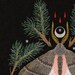 Pandora Pinemoth, Pine, and Celestial Insect Décor Nature Moth Art ...