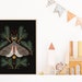 Pandora Pinemoth, Pine, and Celestial Insect Décor Nature Moth Art ...