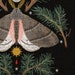 Pandora Pinemoth, Pine, and Celestial Insect Décor Nature Moth Art ...