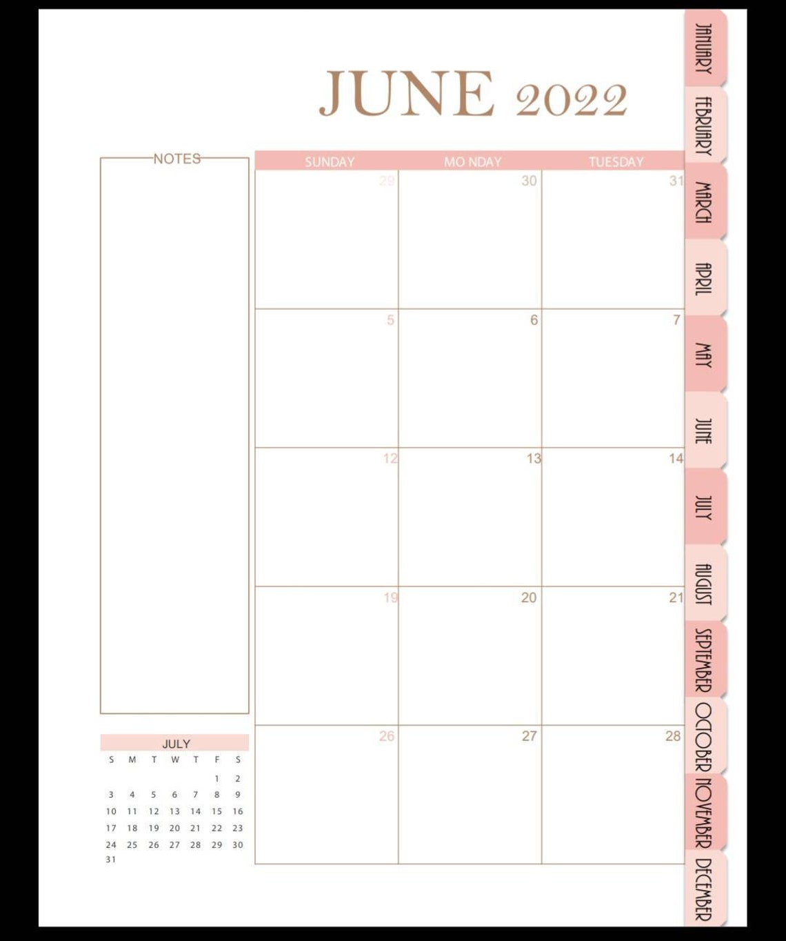 Digital 2022 Planner, Printable Digital Planner, Organized Digital ...