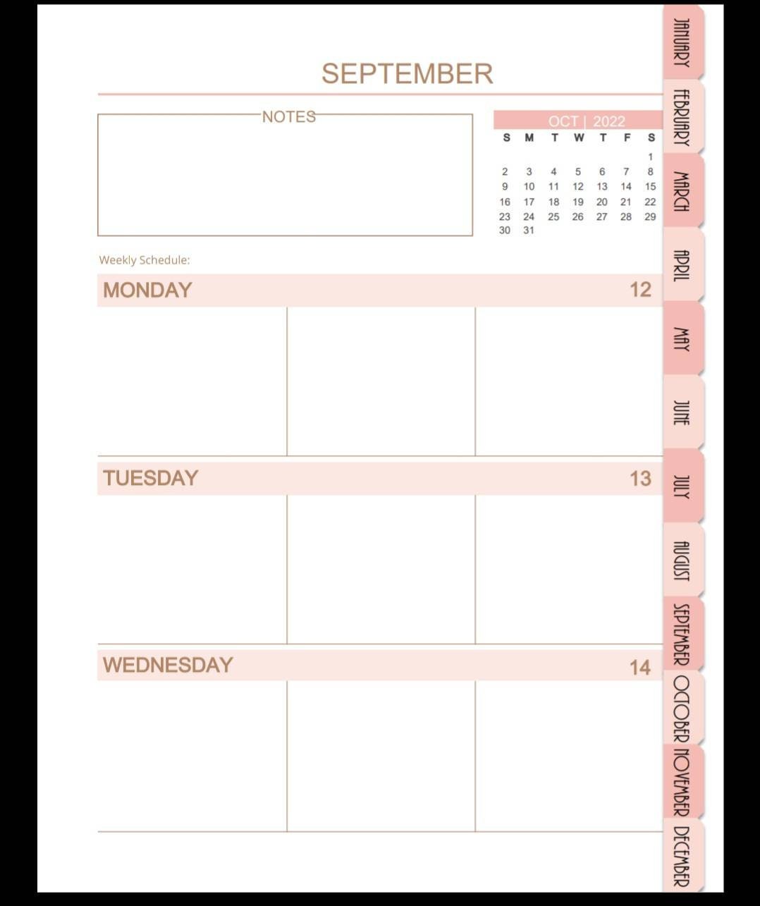 Digital 2022 Planner, Printable Digital Planner, Organized Digital ...