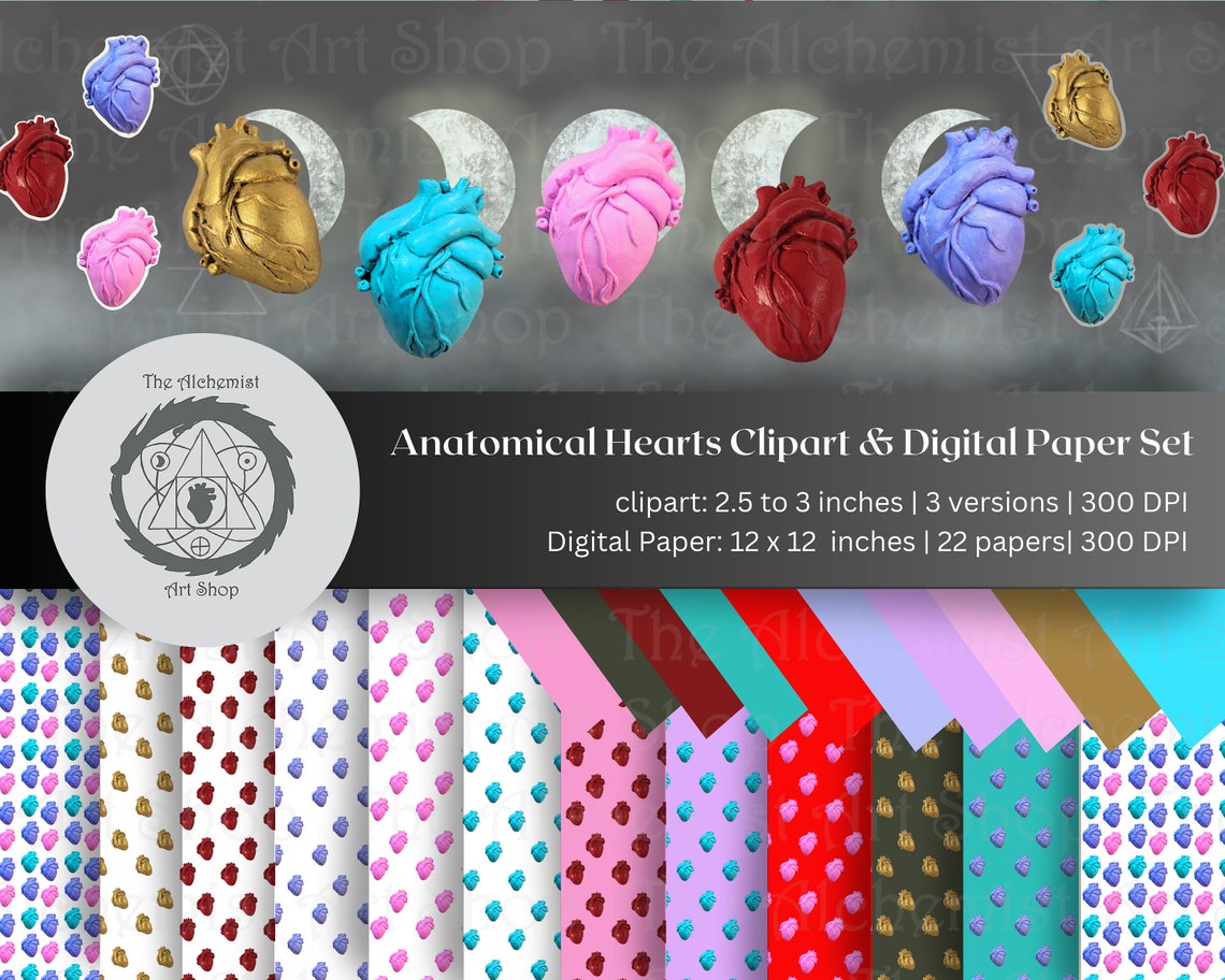 Clipart & Digital Paper Set Anatomical Hearts Clip Art Set - Etsy