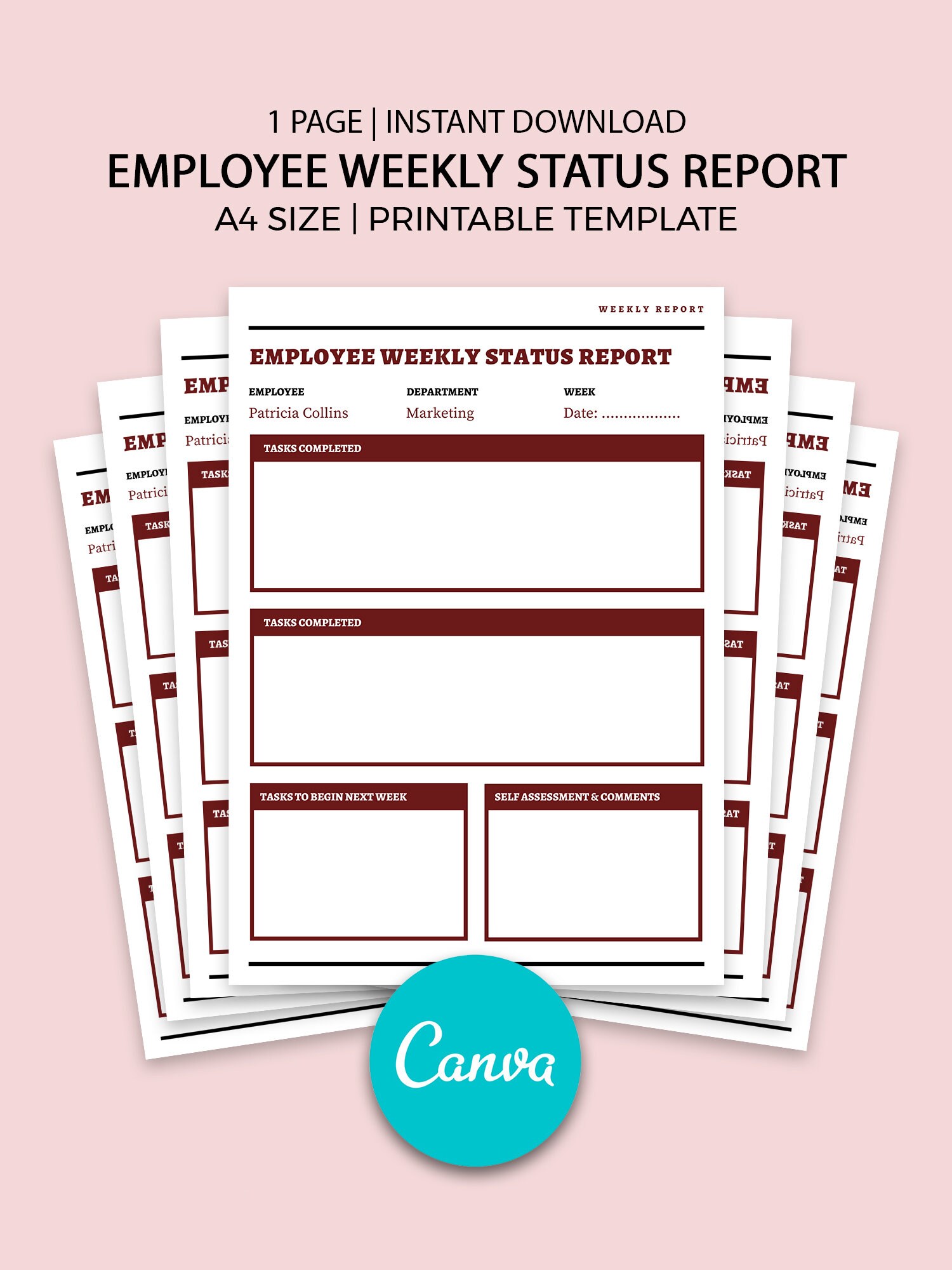 Employee Project Status Report, Editable Project Summary, Project ...
