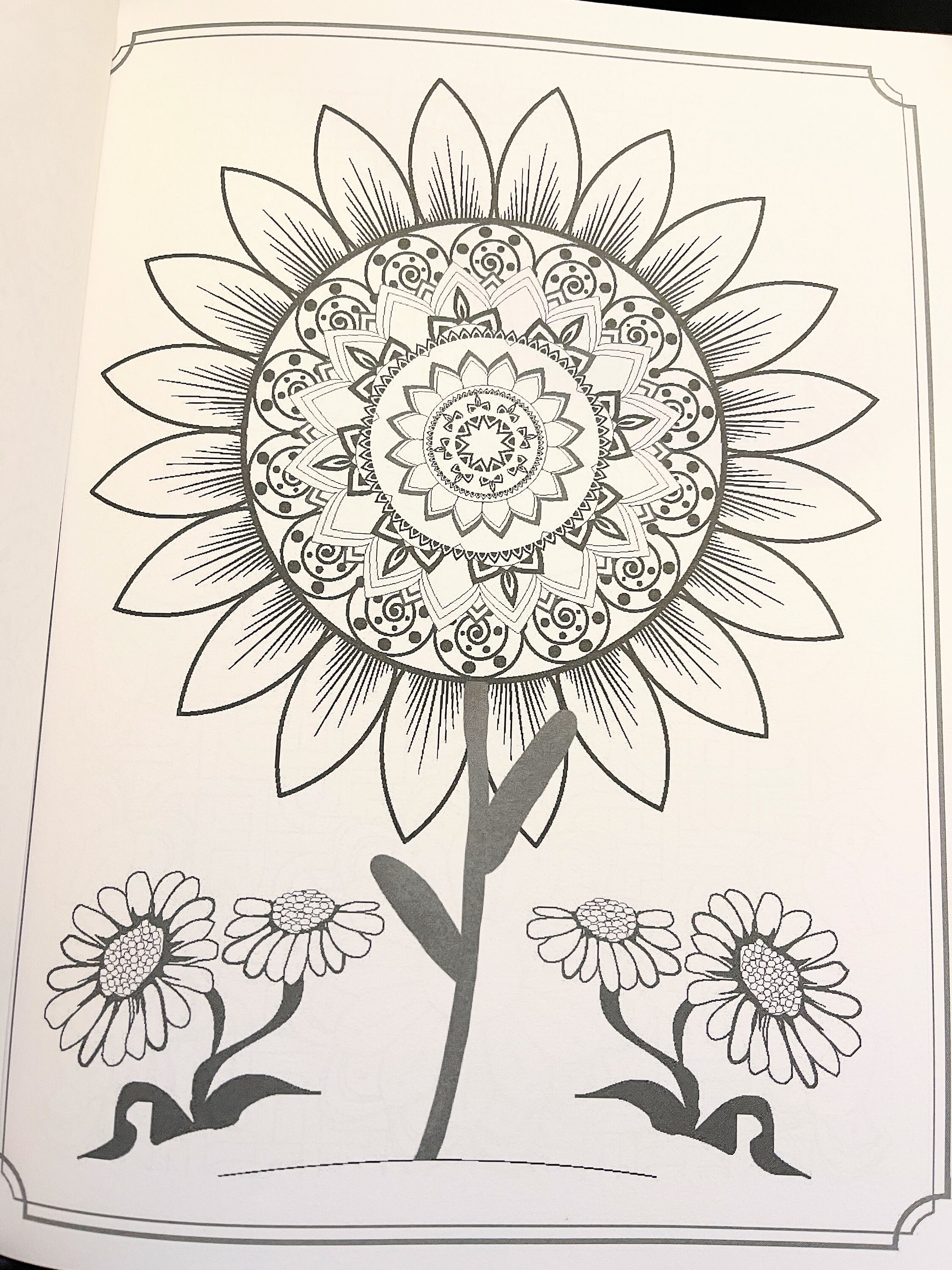 Floral Escape I Relaxation Coloring Book Floral Coloring - Etsy