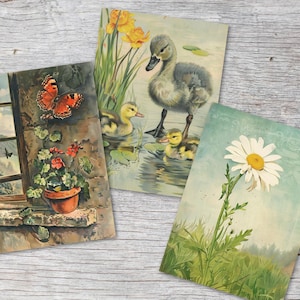 Traditional Fairy Tale Cards Set (15 Cards) | Vintage Postcards With ...
