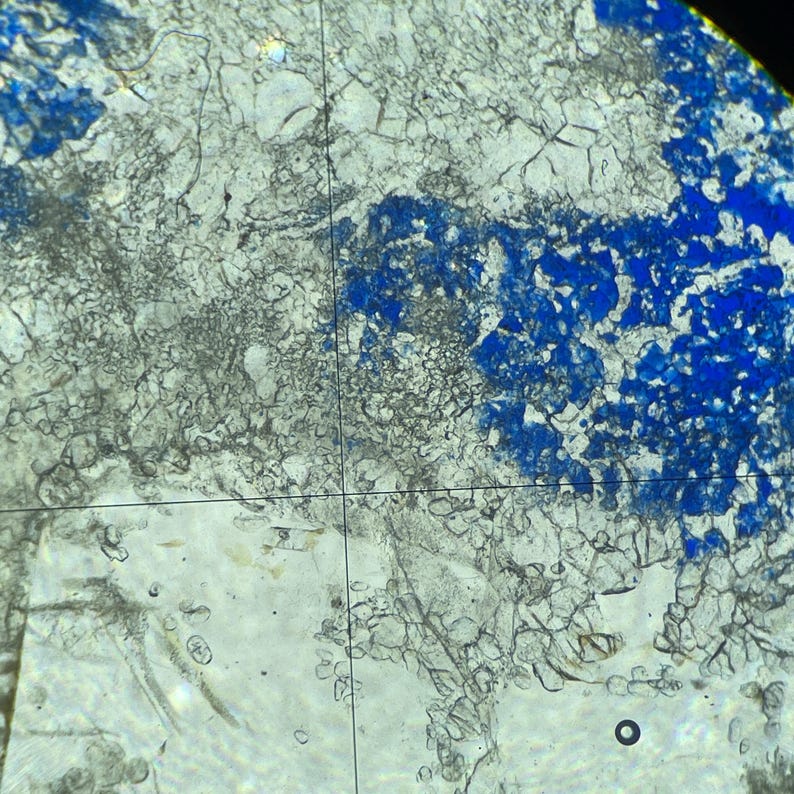Made to Order Geological Microscope Slide (thin Section) of Lapis ...