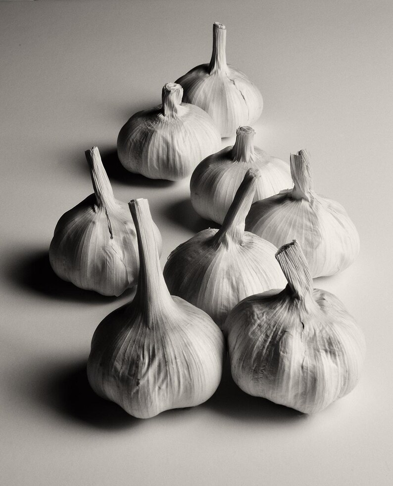 Garlic Printable, Garlic Art Print, Garlic Photo, Garlic Kitchen Art ...