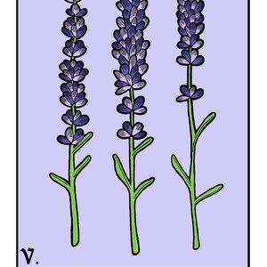 Lavender Tarot Art Print French or English 5x7 Art Print Flower Art ...