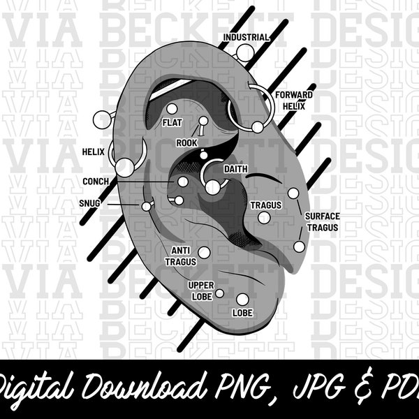 Ear Piercings Chart - Etsy